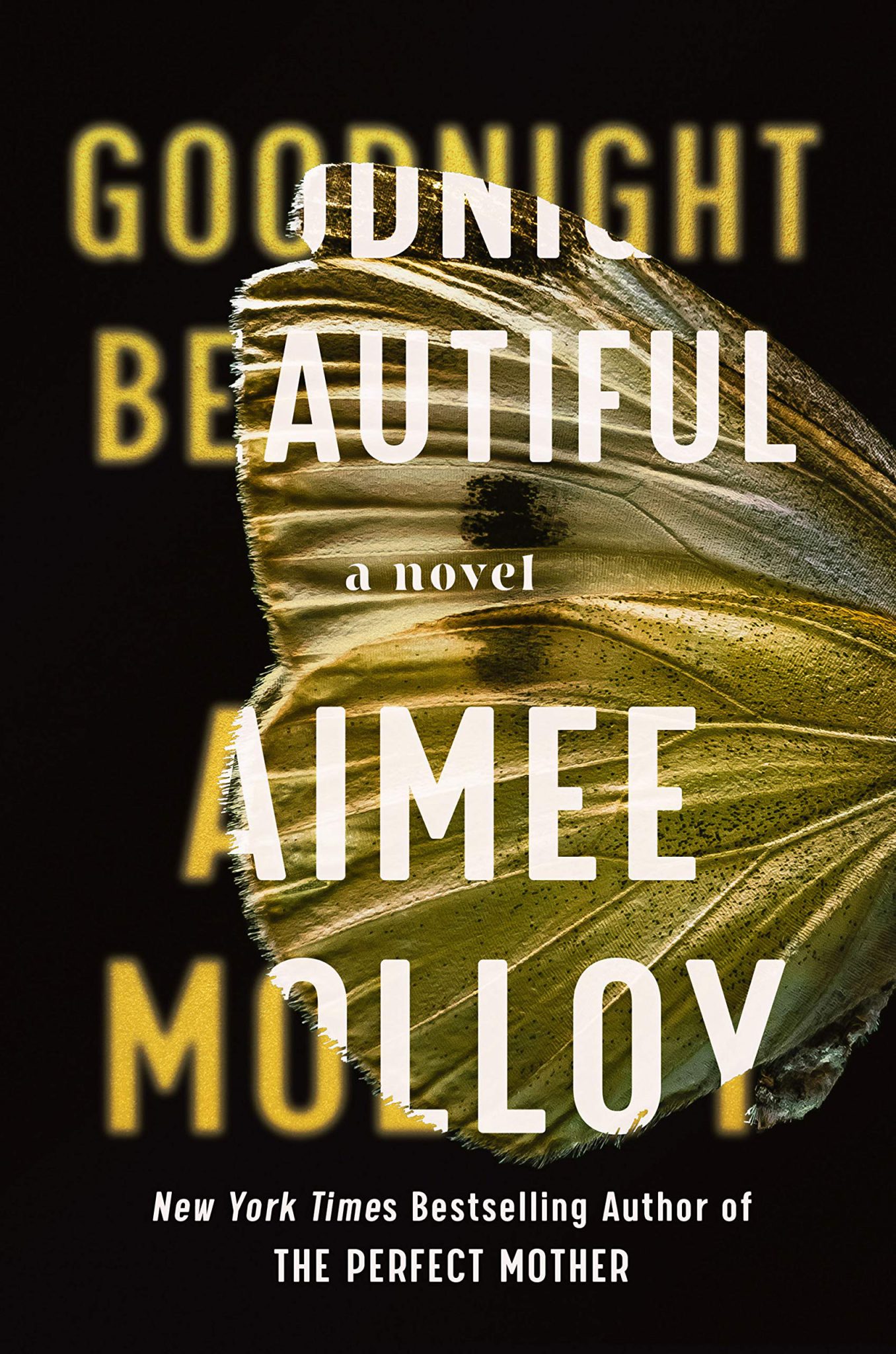 What’s Ashley Reading?: Goodnight Beautiful – Derby Public Library's Blog